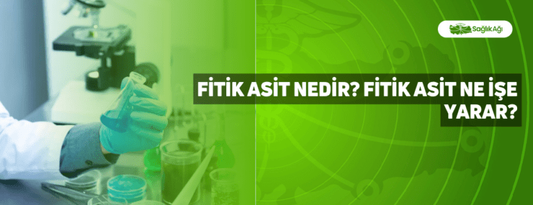 Fitik Asit Nedir? Fitik Asit Ne İşe Yarar? - Sağlık Ağı